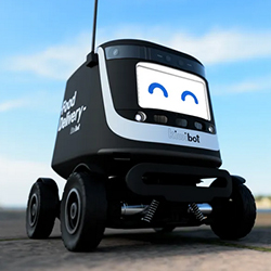 Kiwibot Fall | Stevenson University